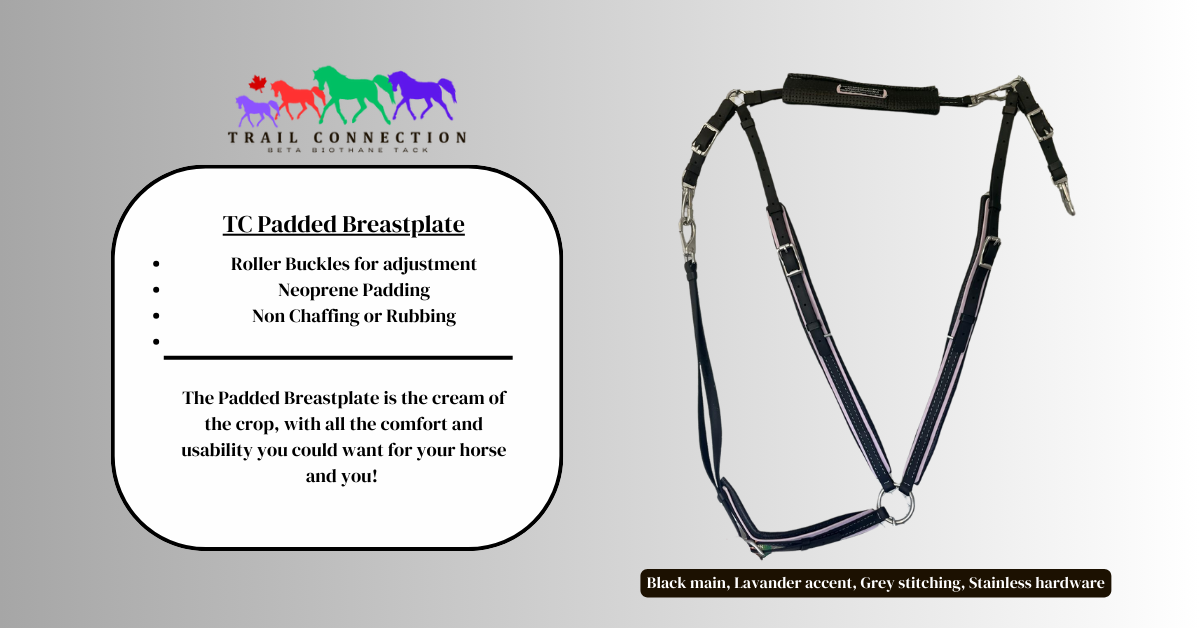 TC Custom Tack – Trail Connection